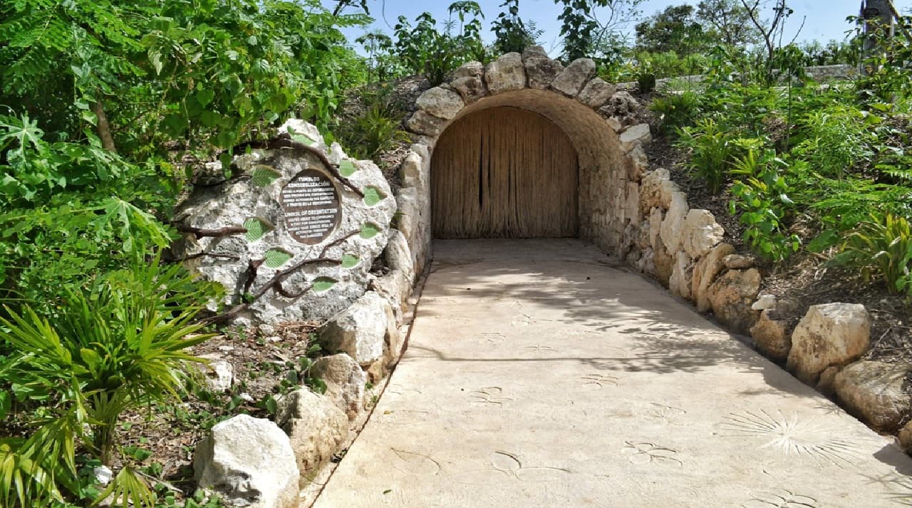 Suspenden operación del Rio de Sal | La Octava